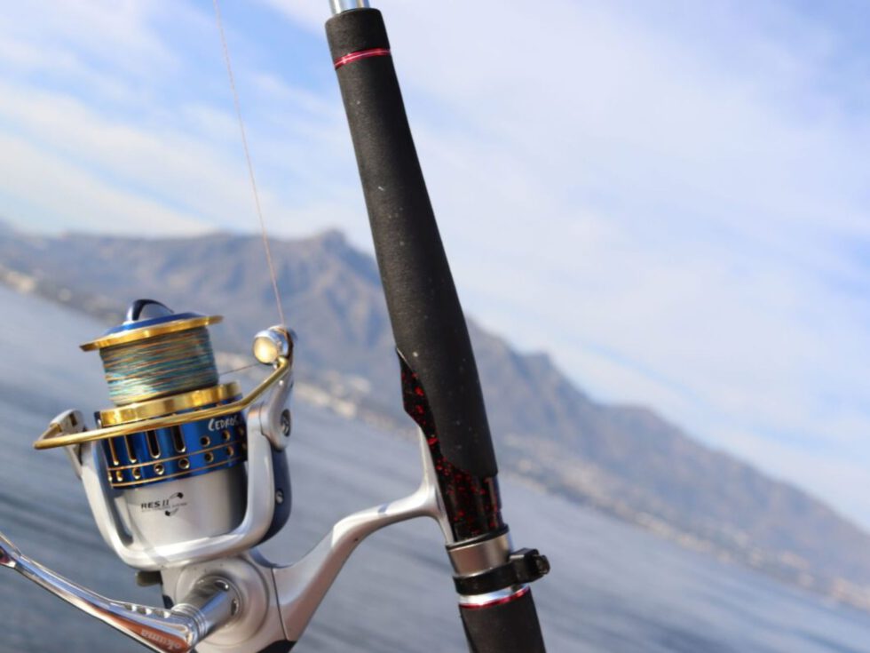 5 Consejos para la pesca de fondo en Marbella